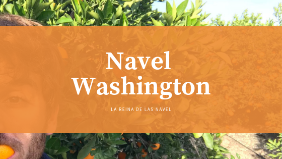 ¿Naranja dulce? ¡Sí!, pide Navel Washington - Dolsol